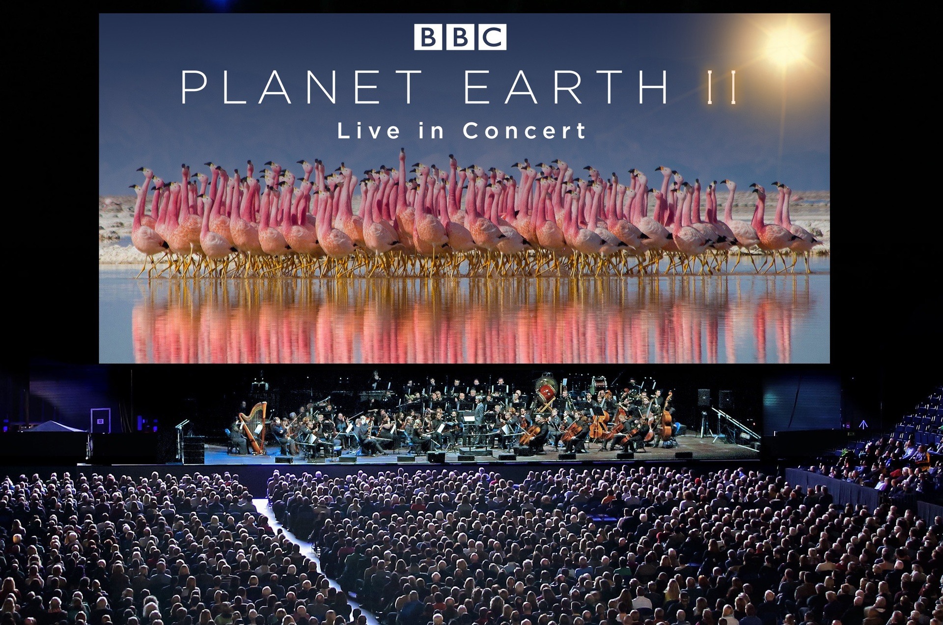 Planet Earth 2 set to return to Dublin in 2020 - Oxygen.ie