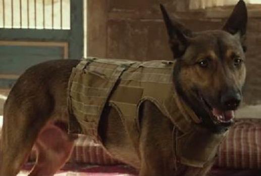 Max - 2015 Film Review