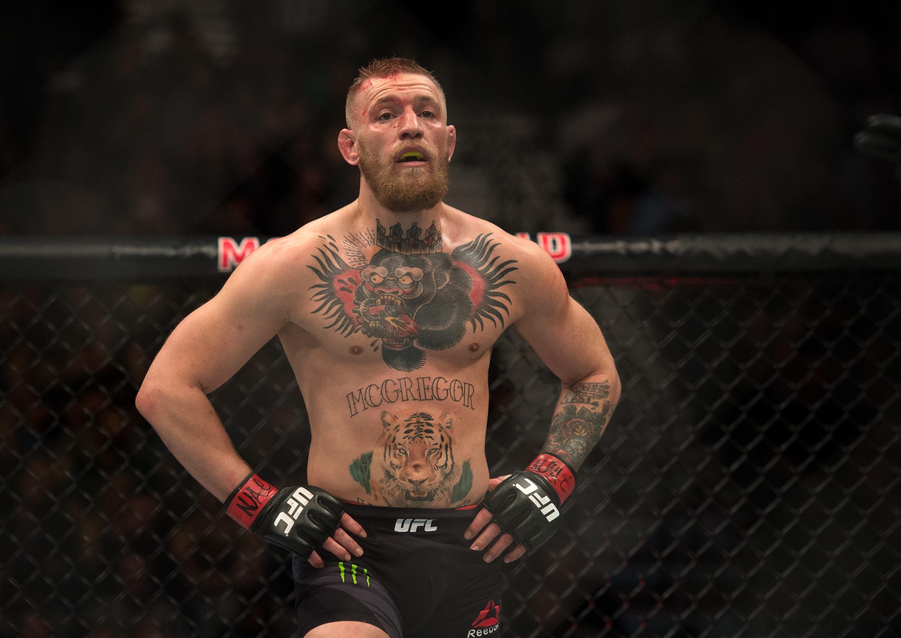 A timeline of Conor McGregors fall from grace - Oxygen.ie