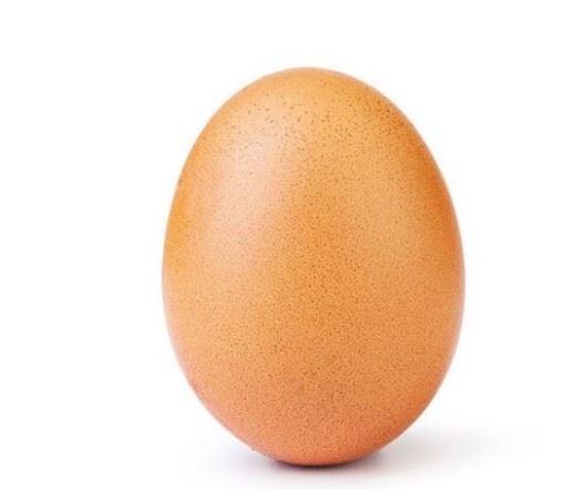 Picture of a single egg breaks world record - Oxygen.ie
