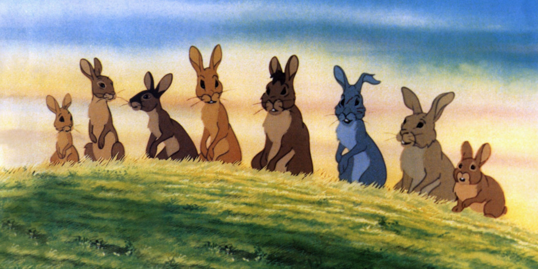 Watership Down 50 Years On - Oxygen.ie