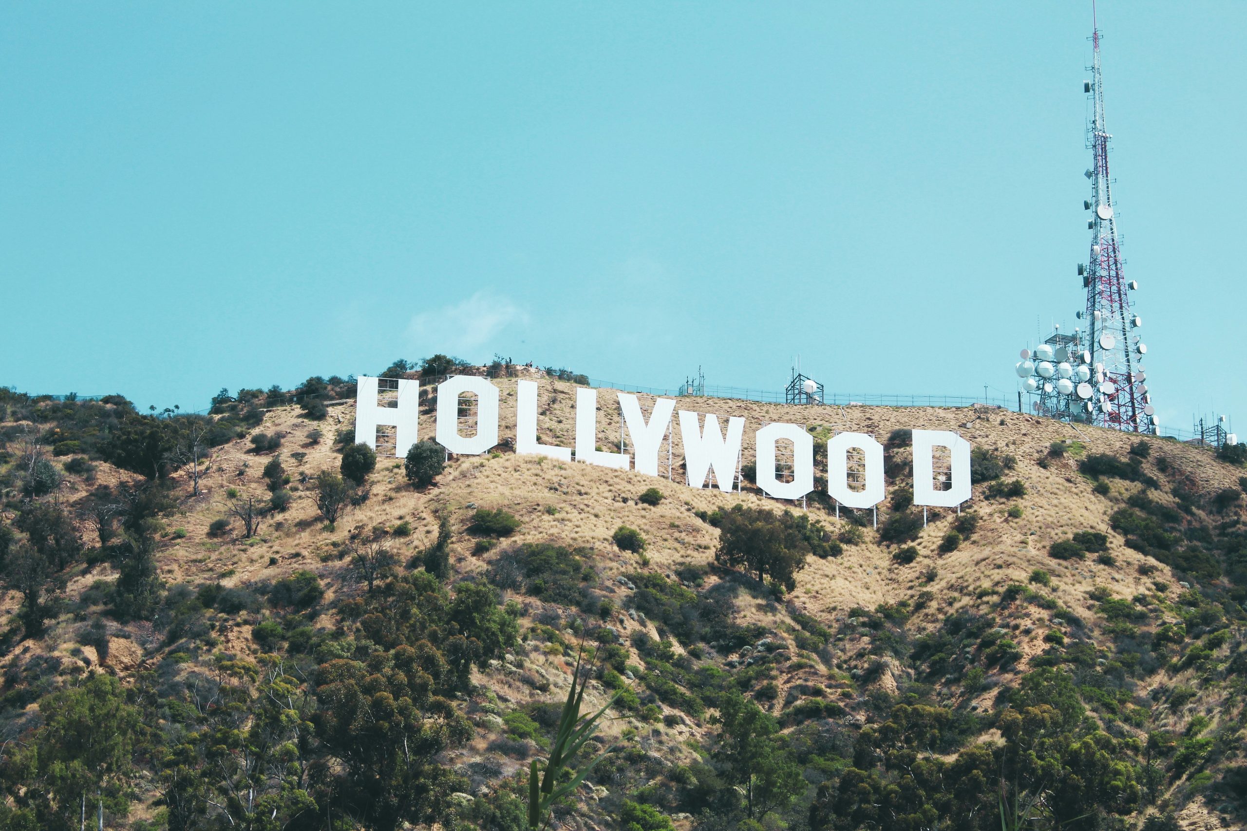 Hollywood & Adaptations: Creating a Cinematic Sensation or Sleeper ...