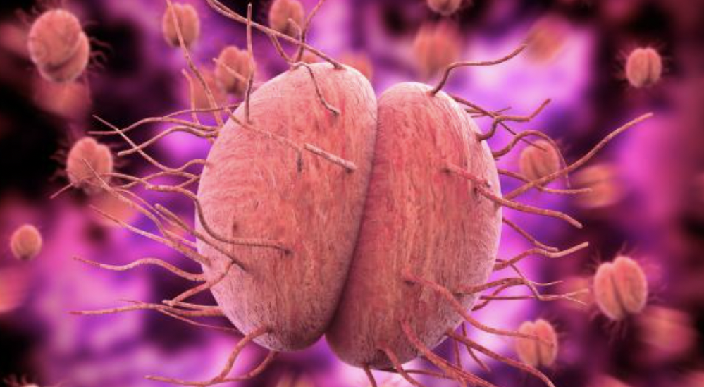 The Sexually Transmitted Disease Scaries - Oxygen.ie