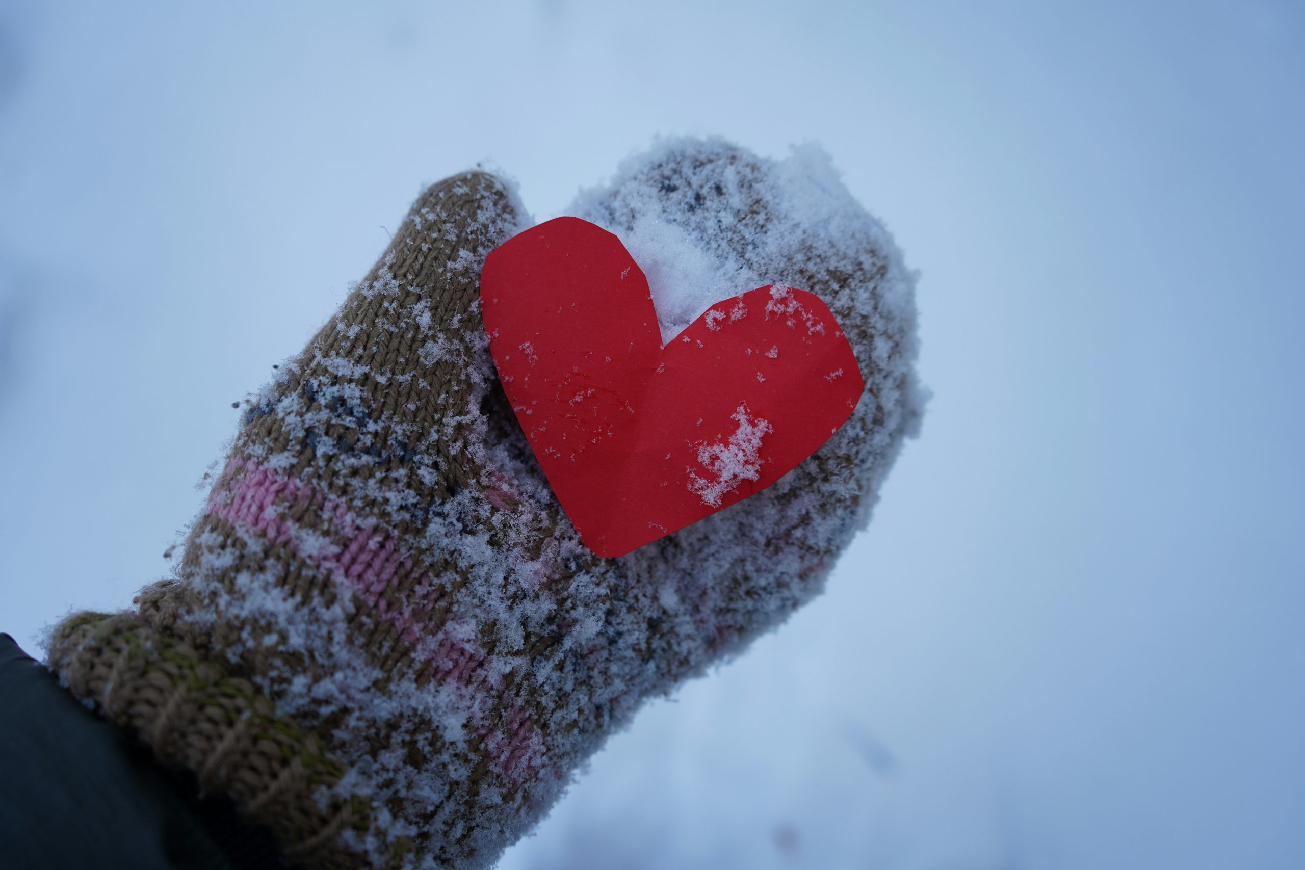 Heartbreak Survival Guide - Oxygen.ie